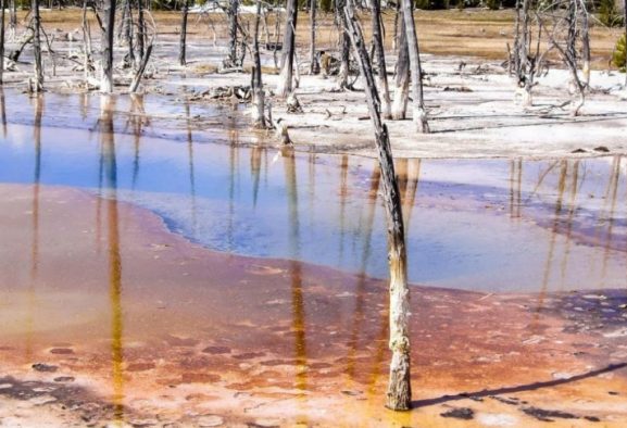 Know the Basic behind Acid Rain and Harmful Effects